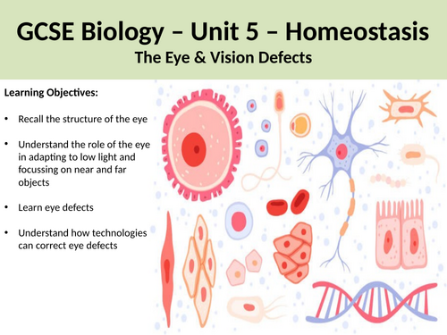 GCSE Biology - The Eye & Vision Defects | Teaching Resources
