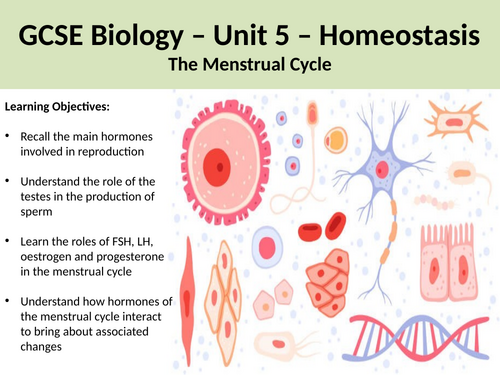 GCSE Biology - The Menstrual Cycle | Teaching Resources