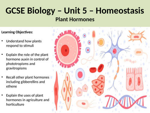 GCSE Biology - Plant Hormones | Teaching Resources