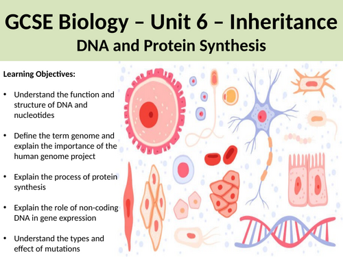 GCSE Biology - DNA & Protein Synthesis | Teaching Resources