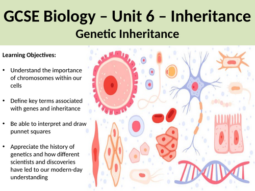 GCSE Biology - Inheritance | Teaching Resources