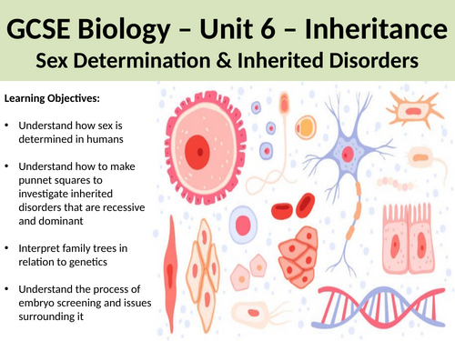GCSE Biology - Genetic Disorders & Sex Determination | Teaching Resources