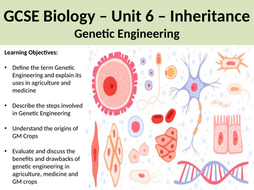 GCSE Biology - Genetic Engineering | Teaching Resources