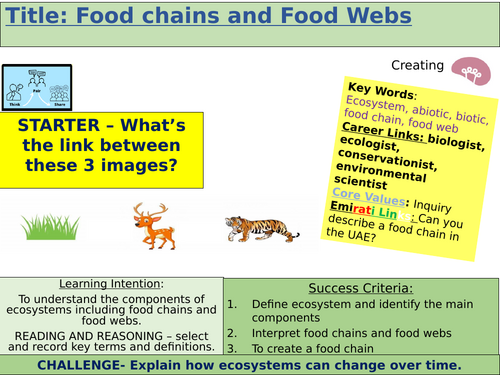 KS3 Food Chains and Webs | Teaching Resources