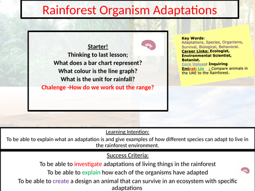KS3 Animal and plant adaptations lesson | Teaching Resources