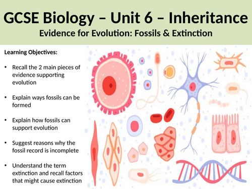 GCSE Biology - Fossils | Teaching Resources