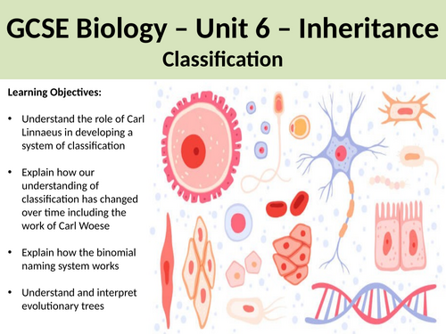 GCSE Biology - Classification | Teaching Resources
