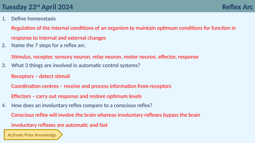 AQA GCSE Biology: Nervous System and Reflex Arc | Teaching Resources