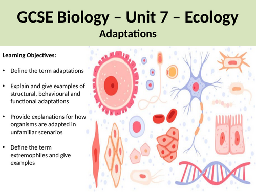 GCSE Biology - Adaptations | Teaching Resources