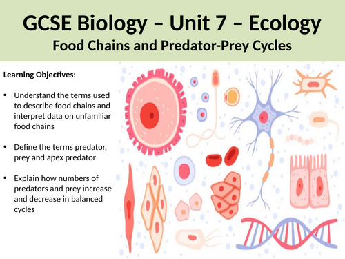 GCSE Biology - Food Chains & Predator-Prey Cycles | Teaching Resources