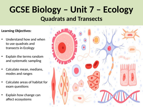 GCSE Biology - Quadrats & Transects | Teaching Resources