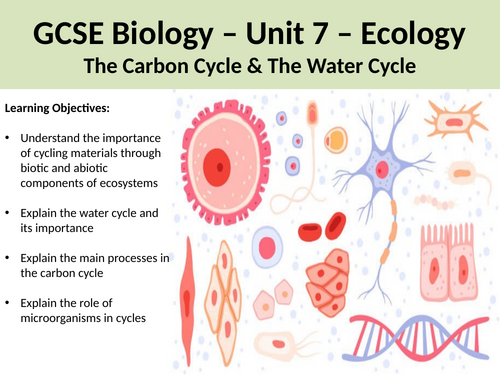 GCSE Biology - The Carbon & Water Cycles | Teaching Resources