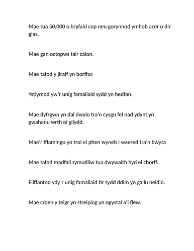 Ffeithiau diddorol am anifeiliaid: CYMRAEG IAITH GYNTAF BLWYDDYN 6 ...