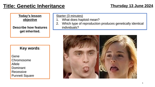 Aqa Gcse Biology Lesson 8 Genetic Inheritance Inheritance Variation And Evolution Topic