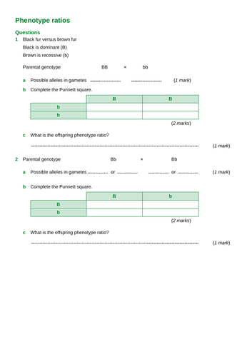 AQA GCSE Biology "Lesson 8 - Genetic Inheritance" (Inheritance ...