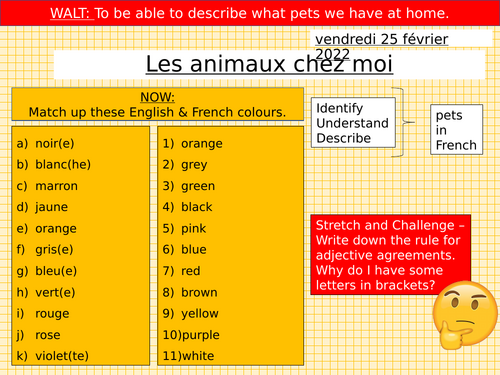 French pets lesson | Teaching Resources