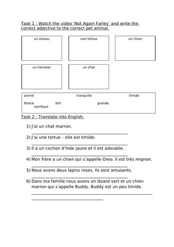 French pets lesson | Teaching Resources