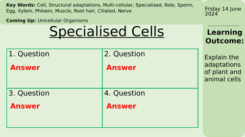 KS3 Year 7 - Lesson 3. Specialised cells | Teaching Resources