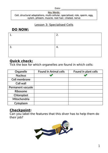 KS3 Year 7 - Lesson 3. Specialised cells | Teaching Resources
