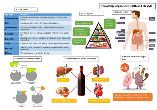 KS3 Health and Lifestyle Knowledge Organiser | Teaching Resources