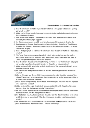 The Whale Rider - Full Scheme of Work | Teaching Resources