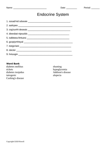 Endocrine System Word Scramble for Vet. Science Students | Teaching ...