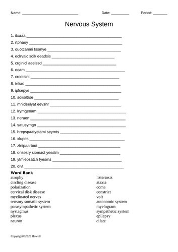 Nervous System Word Scramble for Vet. Science Students | Teaching Resources