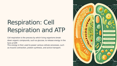 Respiration powerpoint lessons | Teaching Resources