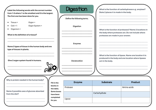 GCSE Biology Worksheet Digestion | Teaching Resources