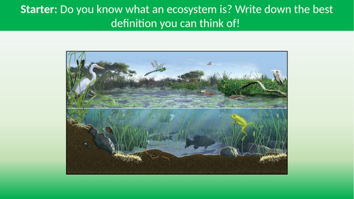 GCSE Geography: Ecosystems, biomes / global eocsystems SoW. AQA EDEXCEL ...