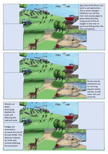 GCSE Geography: Ecosystems, biomes / global eocsystems SoW. AQA EDEXCEL ...