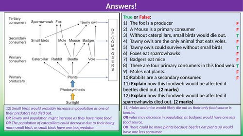 GCSE Geography: Ecosystems, biomes / global eocsystems SoW. AQA EDEXCEL ...