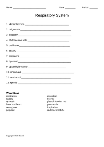 Respiratory System Word Scramble for Vet. Science Students | Teaching ...