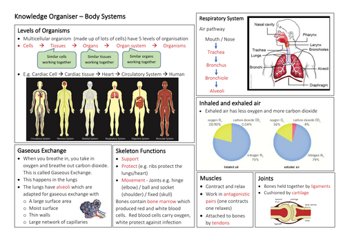 KS3 Science Knowledge Organisers - Activate 1 | Teaching Resources