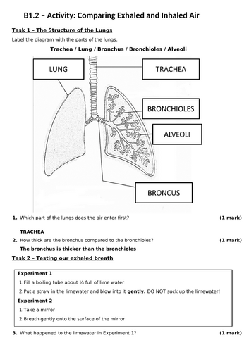 KS3 - Gas Exchange | Teaching Resources