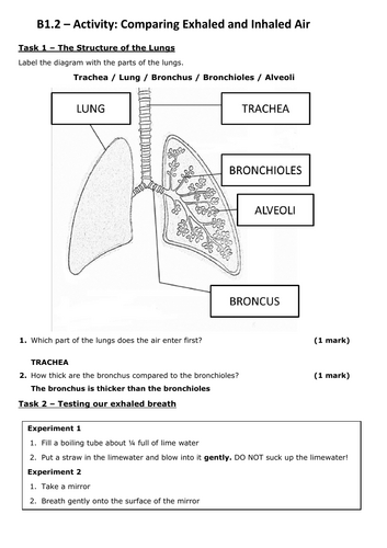 KS3 - Gas Exchange | Teaching Resources