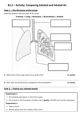 KS3 - Gas Exchange | Teaching Resources
