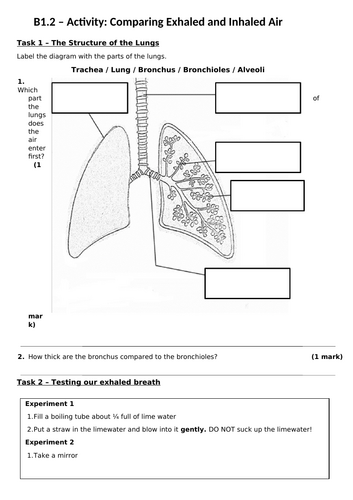 KS3 - Gas Exchange | Teaching Resources