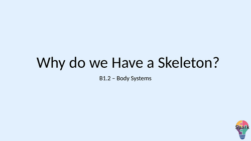 KS3 - Skeleton | Teaching Resources