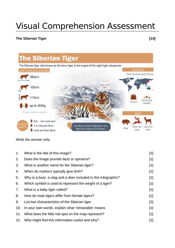 Visual Comprehension Activity and Assessment Tasks | Teaching Resources