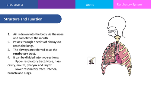 BTEC Sport Level 3 - Unit 1 Powerpoints | Teaching Resources