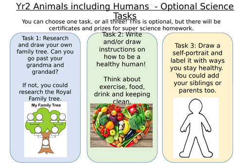 Science Homework Tasks for KS1 - Science Project Ideas | Teaching Resources