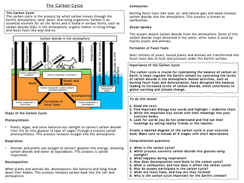 The Carbon Cycle - Cover work | Teaching Resources