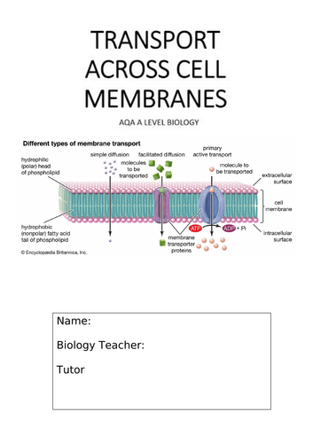 A-Level AQA Biology - Transport Across Membranes Bundle | Teaching ...