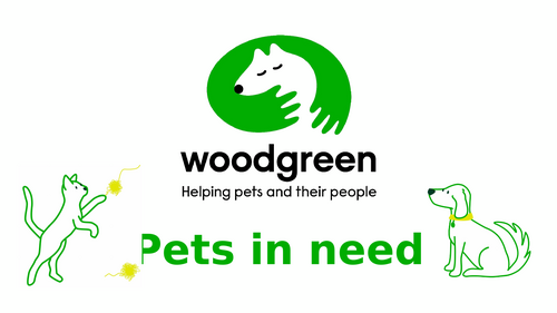 KS2 Pets in need persuasive writing lesson pack | Teaching Resources