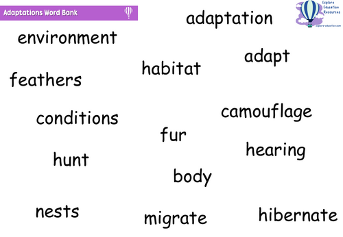 Animal Adaptations - Outstanding KS2 Science Lesson | Teaching Resources