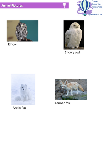 Animal Adaptations - Outstanding KS2 Science Lesson | Teaching Resources