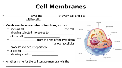 A-Level AQA Biology - Structure of Membranes | Teaching Resources