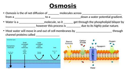 A-Level AQA Biology - Osmosis + Water Potential | Teaching Resources