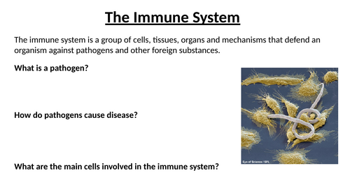 A-Level AQA Biology - Defence Mechanisms + Phagocytosis | Teaching ...